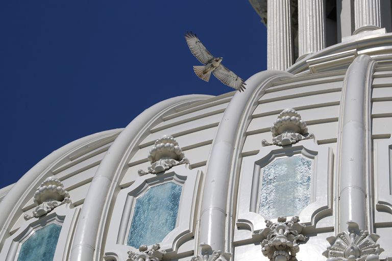 U.S. House appropriations measure blocks conscience protection rule