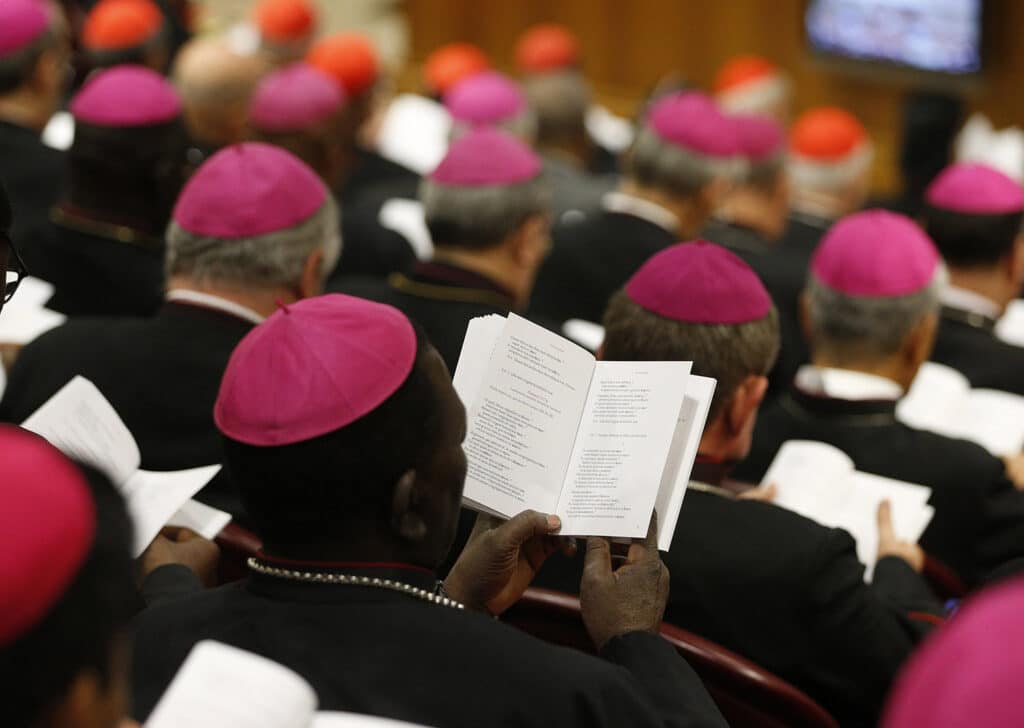 What the synod should be about