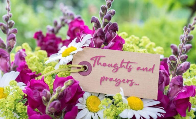 What is the cost of lauding martyrs of chastity?