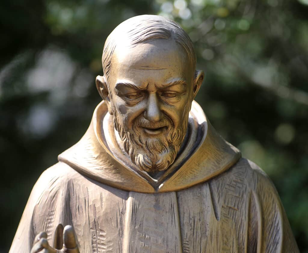 What is the vocation of a canonical hermit?