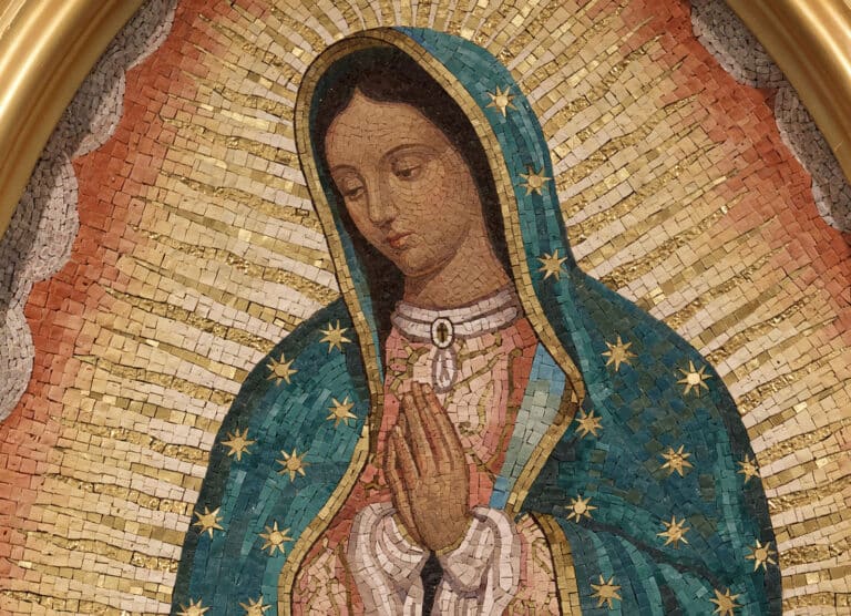 Our Lady of the Immaculate Conception