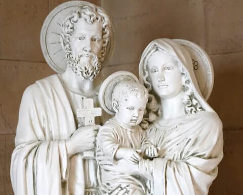 A strange thing happened when the Holy Family passed by this tree