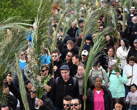 How should Catholics properly dispose of blessed palms?