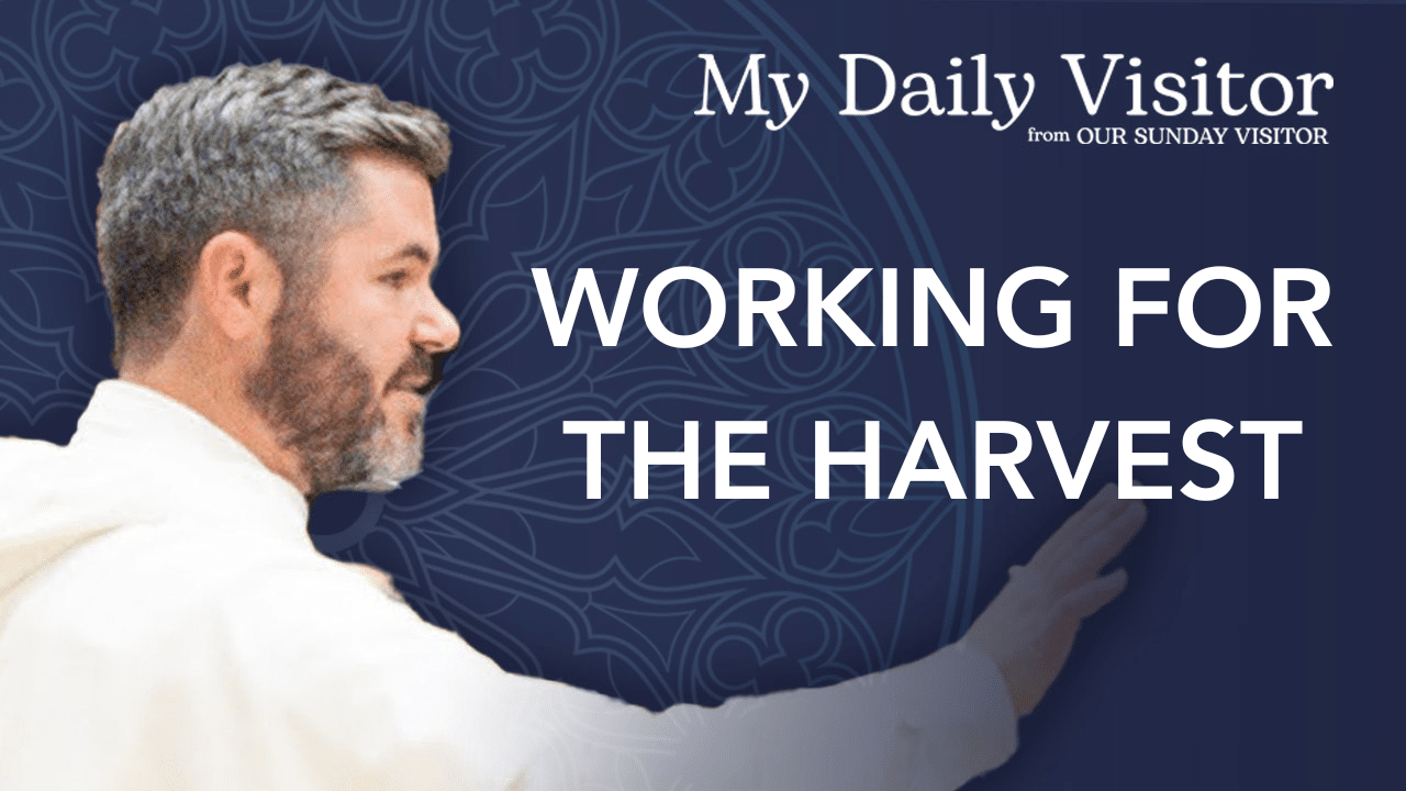 Don't discount yourself as a laborer for God
