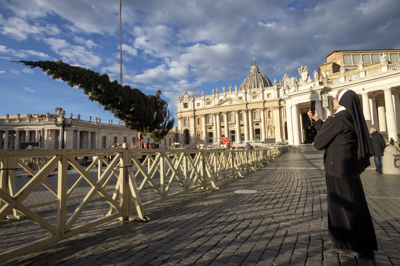 Local group protests cutting tree for Vatican's Christmas