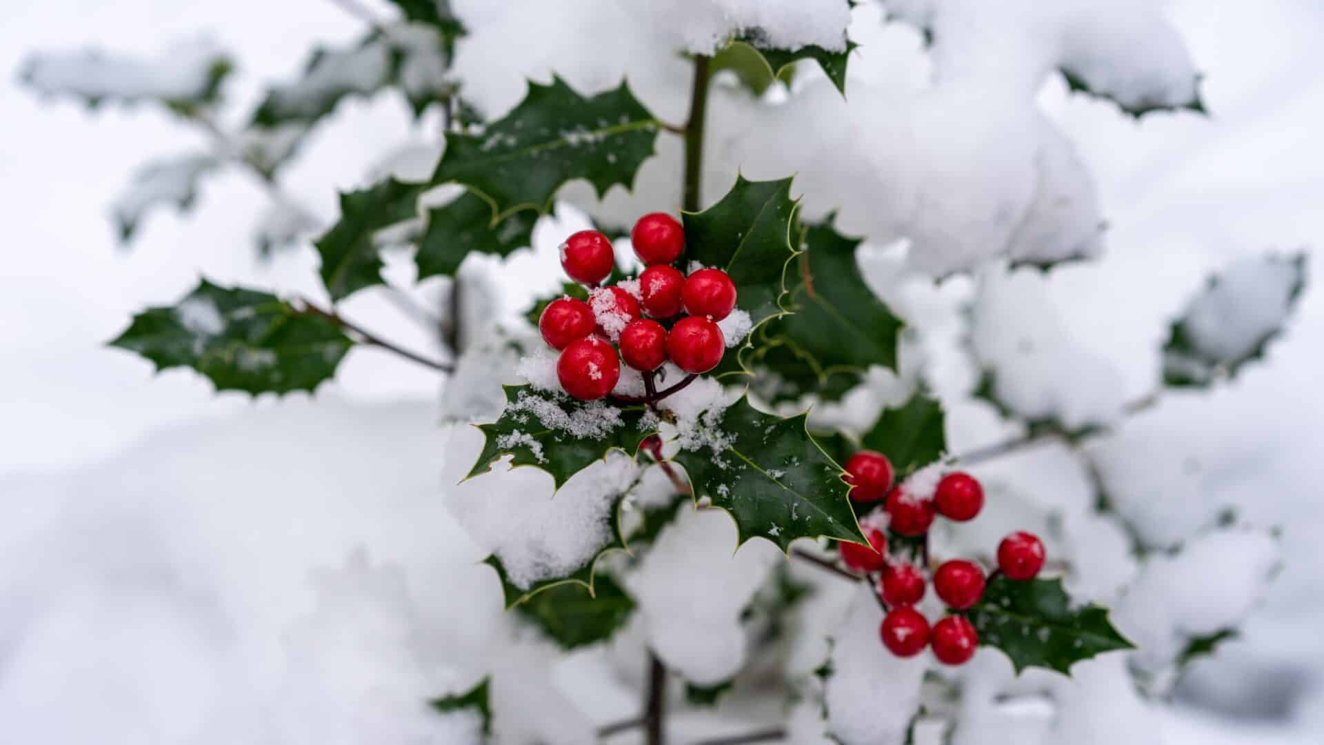 St. Robert Southwell: A martyr's poem on the Christ Child's love