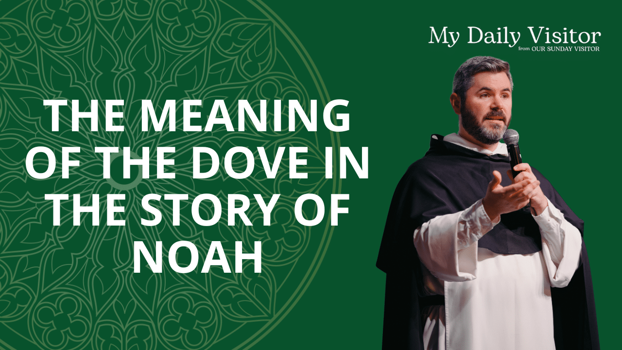 The meaning of the dove in the story of Noah