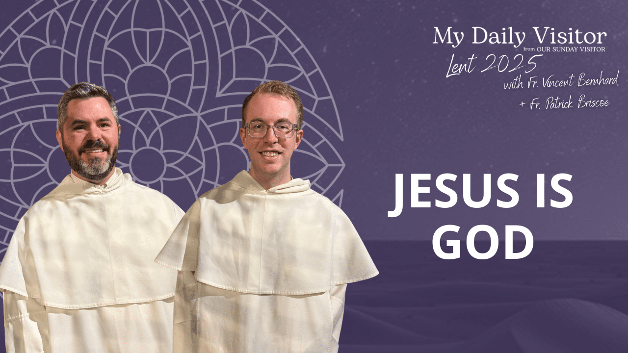 Jesus is God: the radical truth of our faith