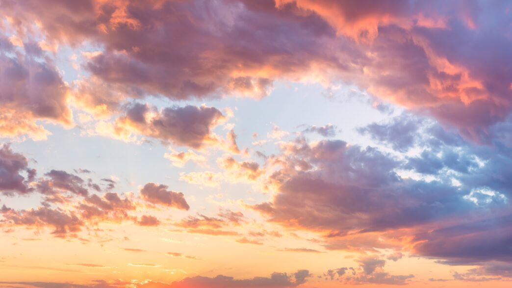 Simcha Fisher, Author at Our Sunday Visitor