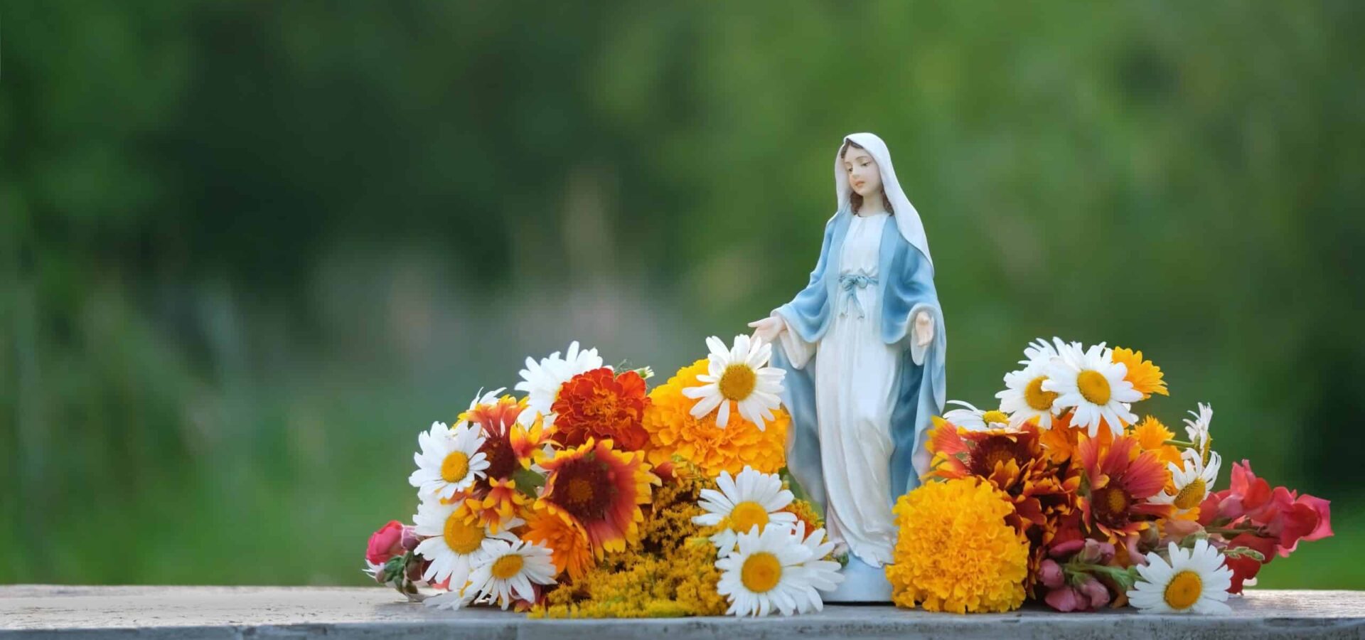 Understanding the beautiful role of Mary in our lives