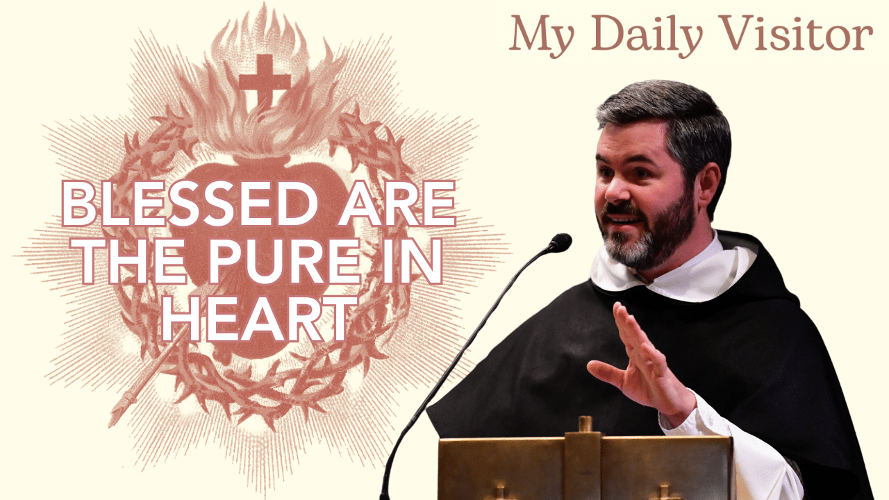 Blessed are the pure in heart