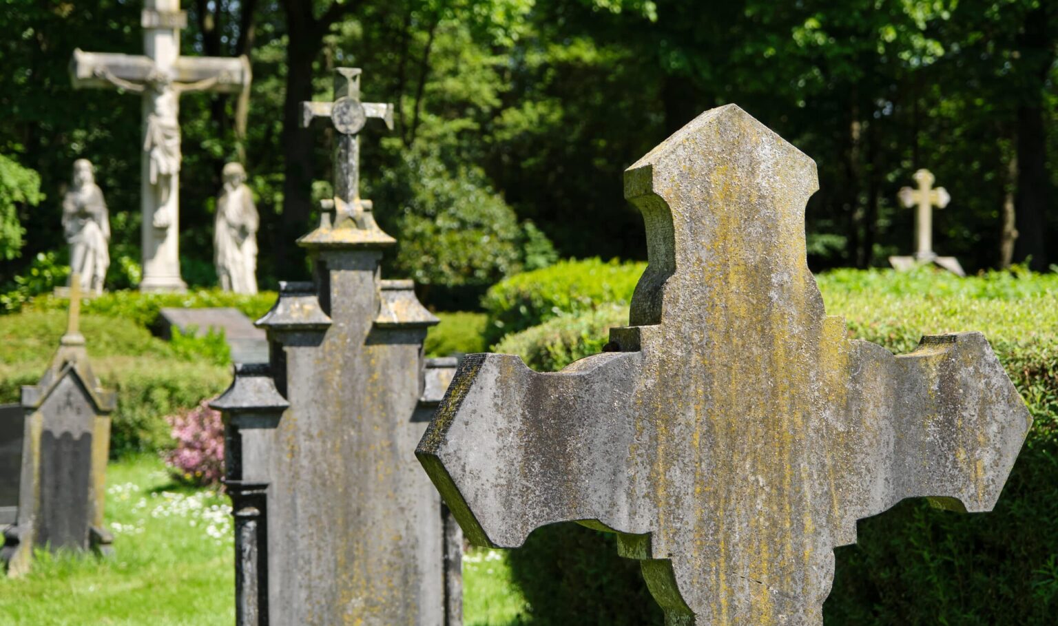 Gender ideology goes against the fundamentals of our faith